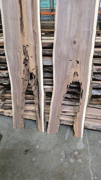 1290 Walnut DIY Bundle – Black Forest Sawmill